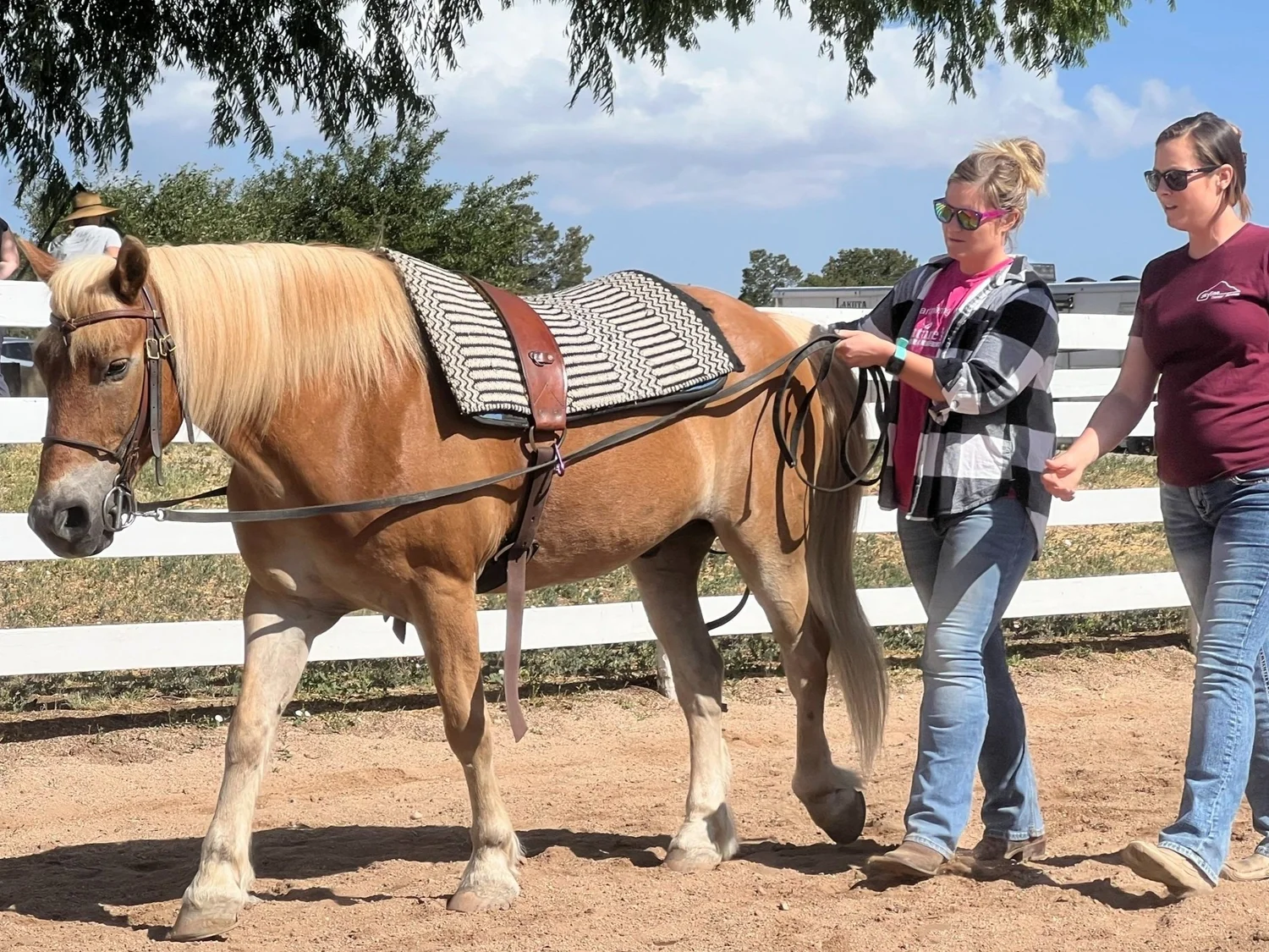 FAQs — American Hippotherapy Association, Inc.