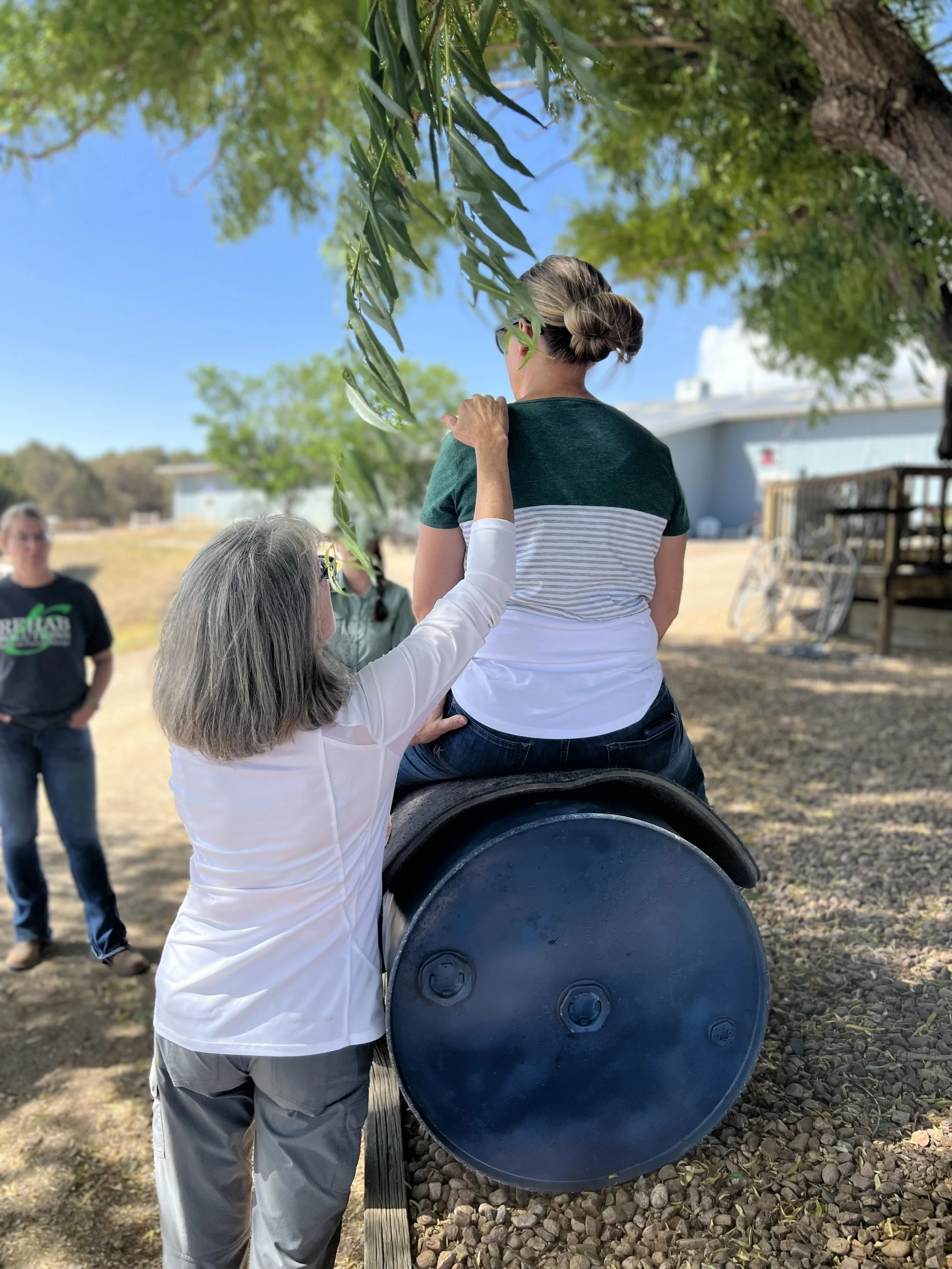 Hippotherapy Courses — American Hippotherapy Association, Inc.