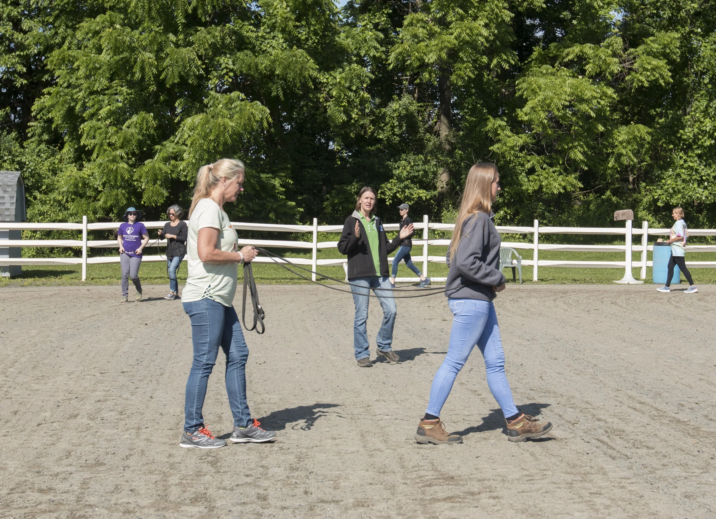 Hippotherapy Courses — American Hippotherapy Association, Inc.
