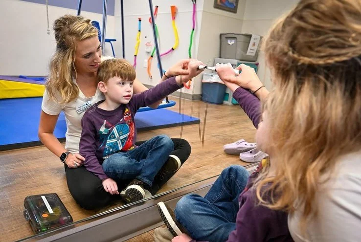 What is Hippotherapy? — American Hippotherapy Association, Inc.