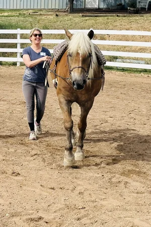 Hippotherapy Courses — American Hippotherapy Association, Inc.