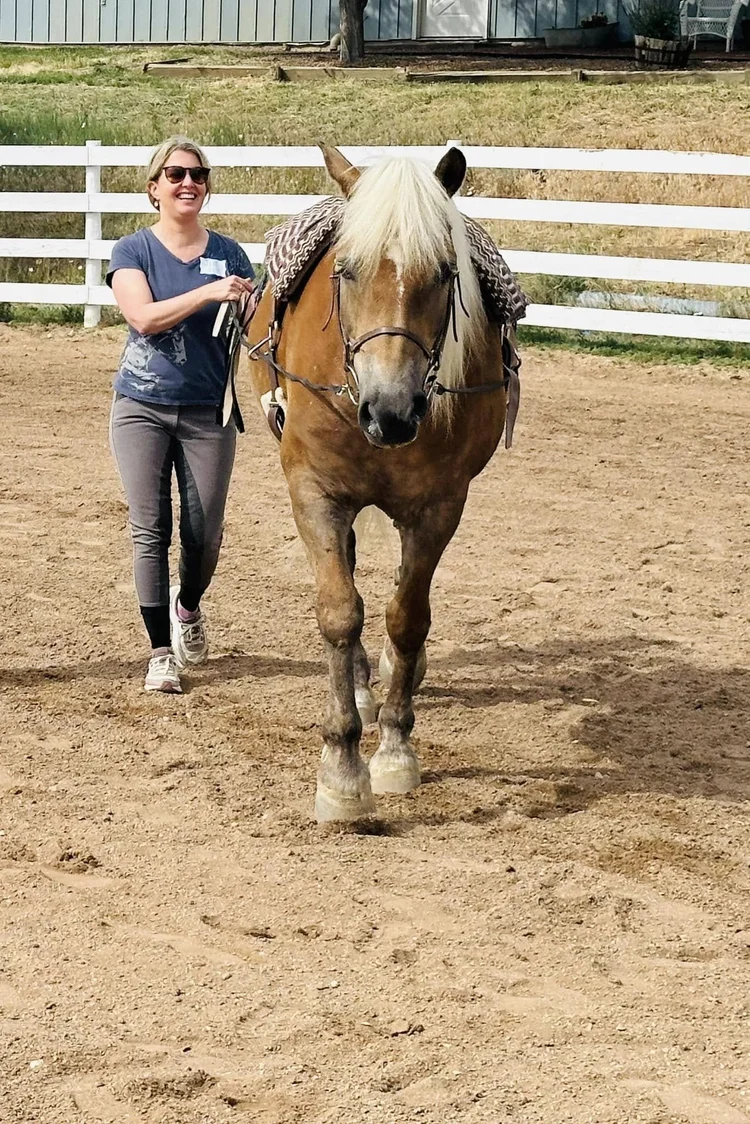 Hippotherapy Courses — American Hippotherapy Association, Inc.