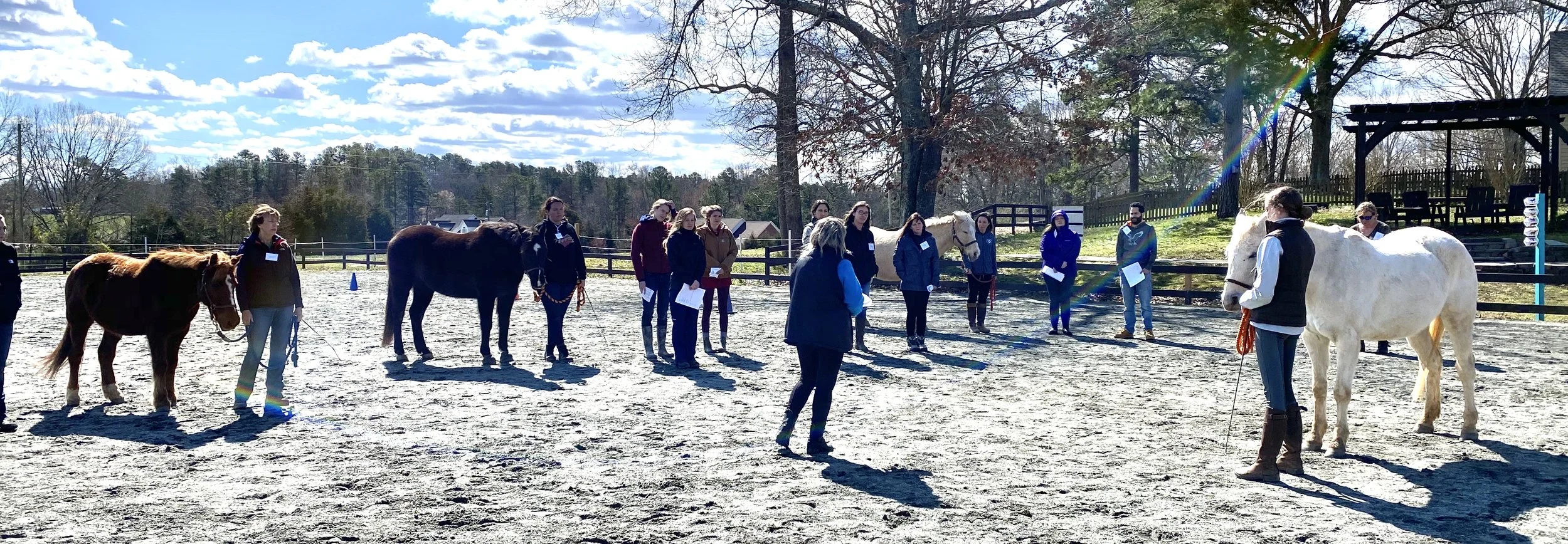 Hippotherapy Courses — American Hippotherapy Association, Inc.