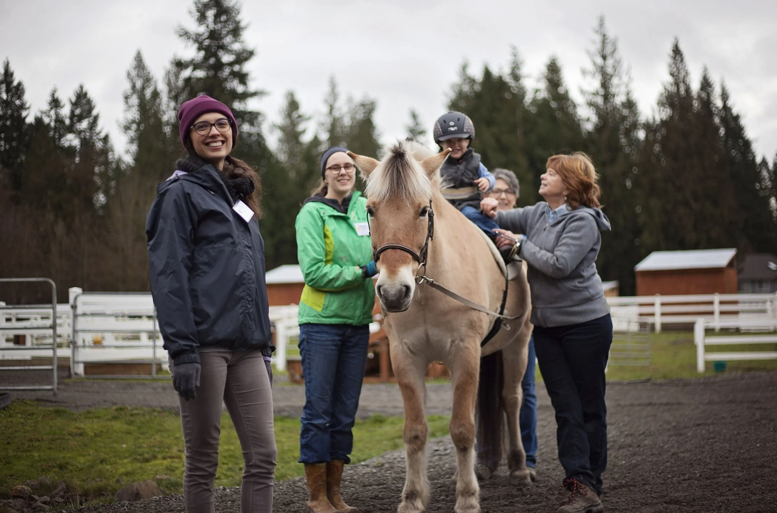 American Hippotherapy Association, Inc.