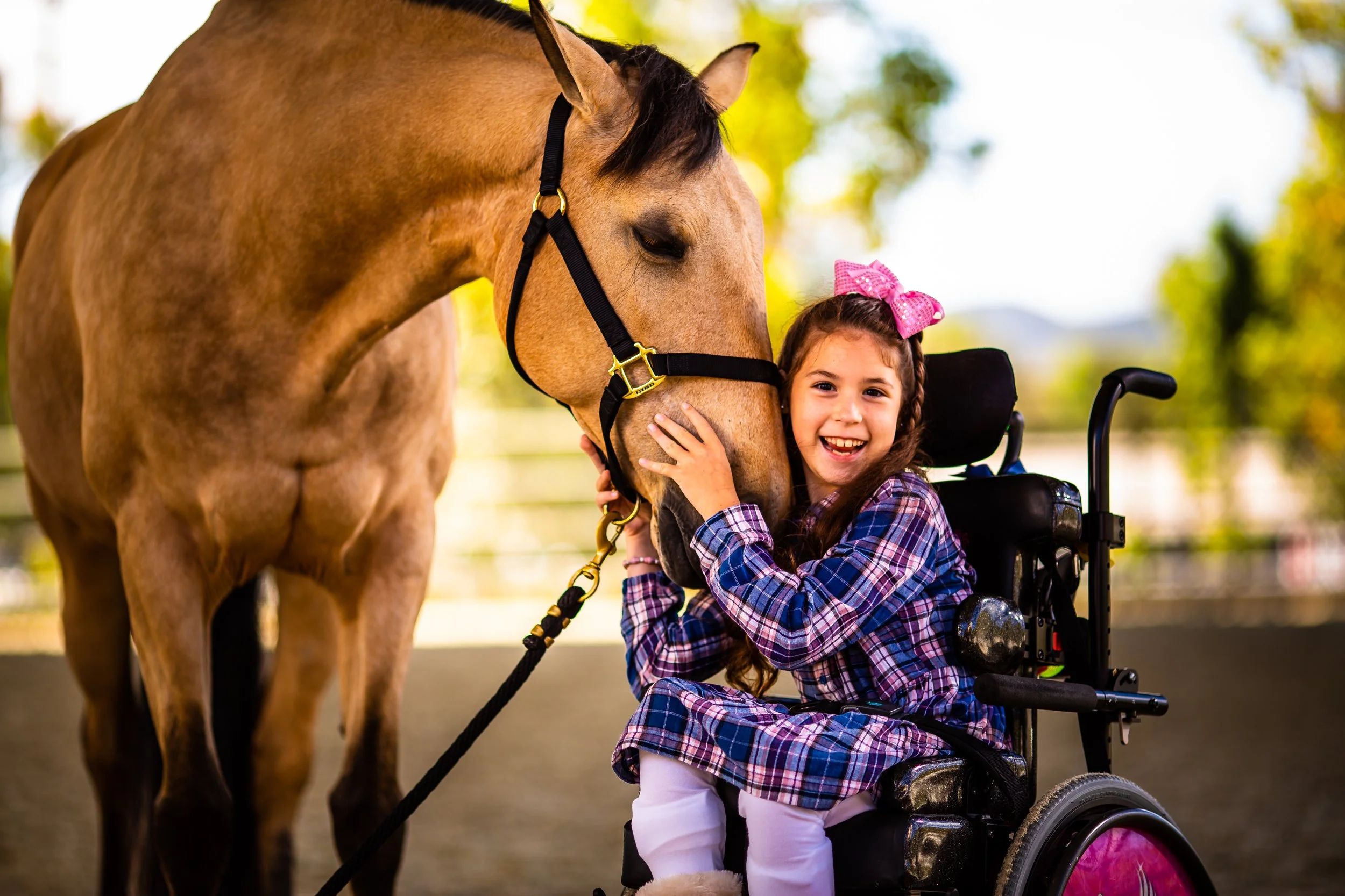 Research on Hippotherapy — American Hippotherapy Association, Inc.