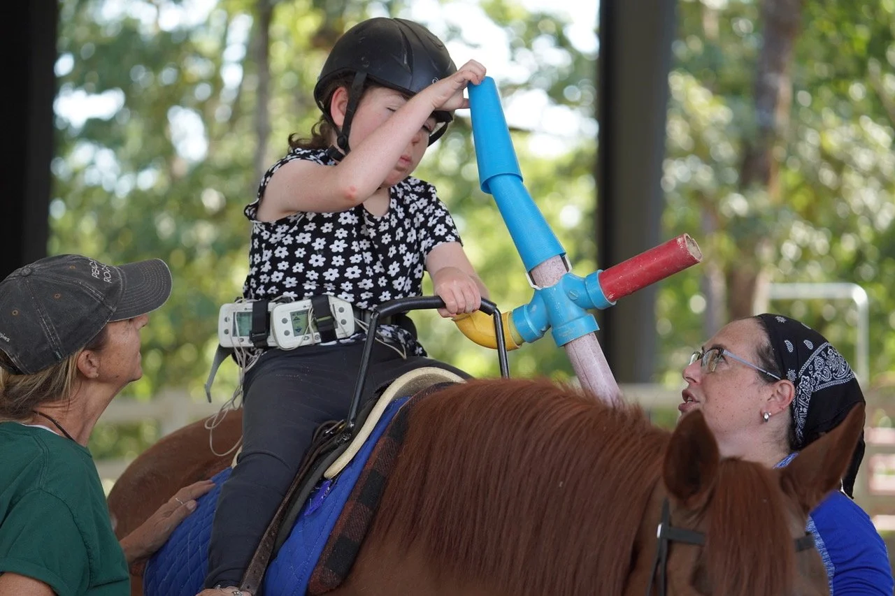 What is Hippotherapy? — American Hippotherapy Association, Inc.