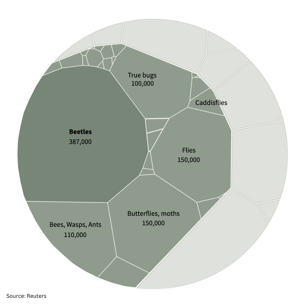 Protect Endangered Species — Society for the Protection of Insects