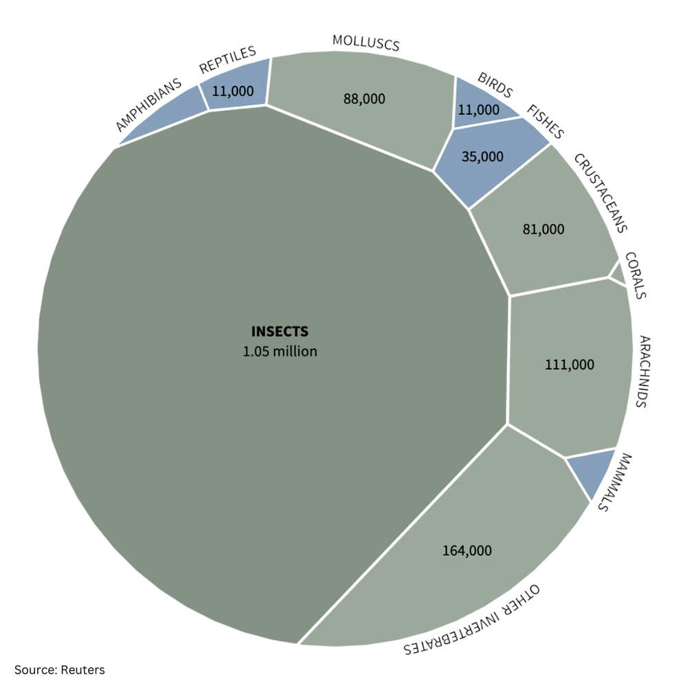 Protect Endangered Species — Society for the Protection of Insects
