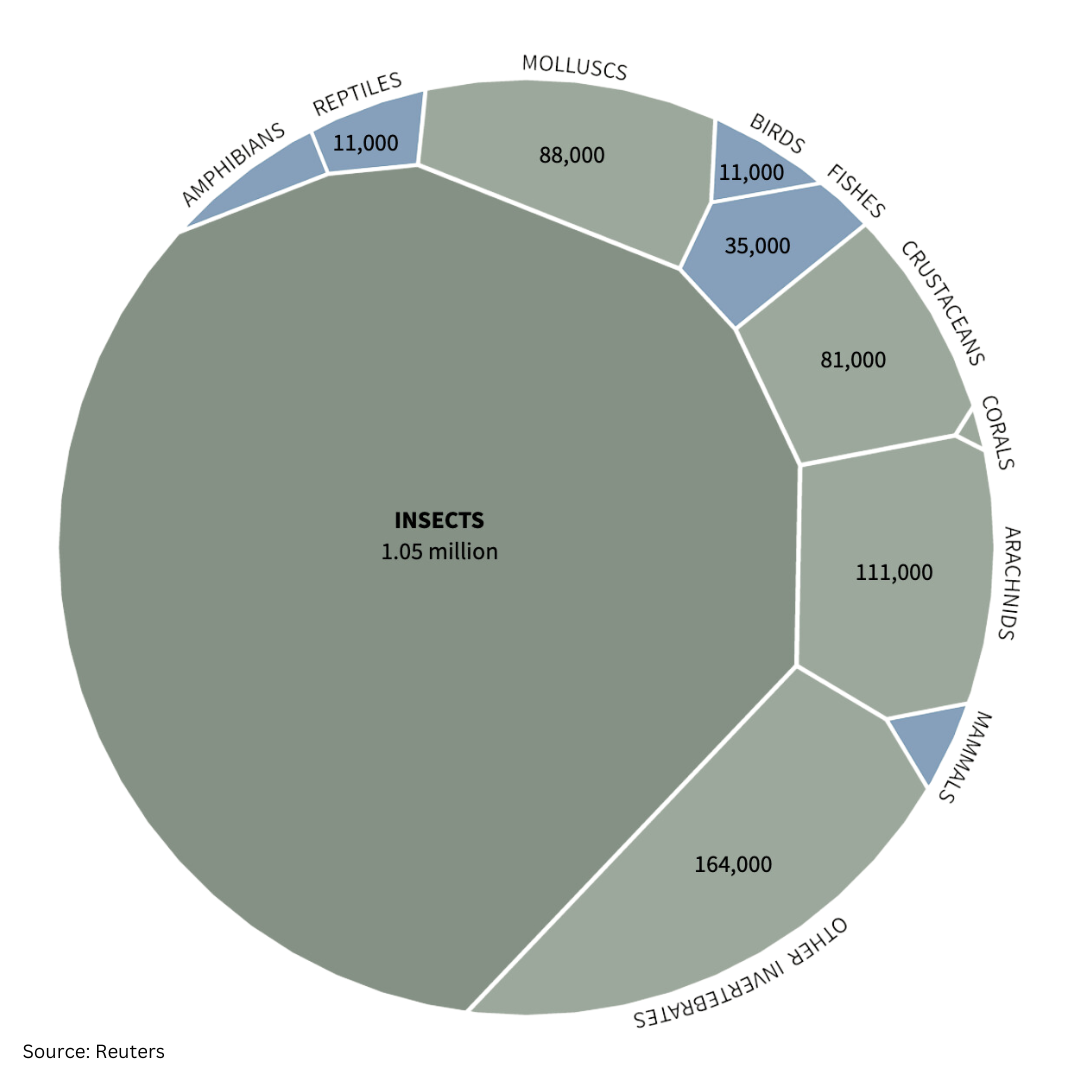 Protect Endangered Species — Society for the Protection of Insects
