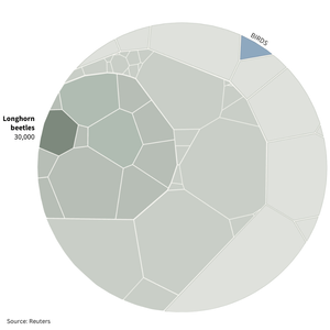 Protect Endangered Species — Society for the Protection of Insects