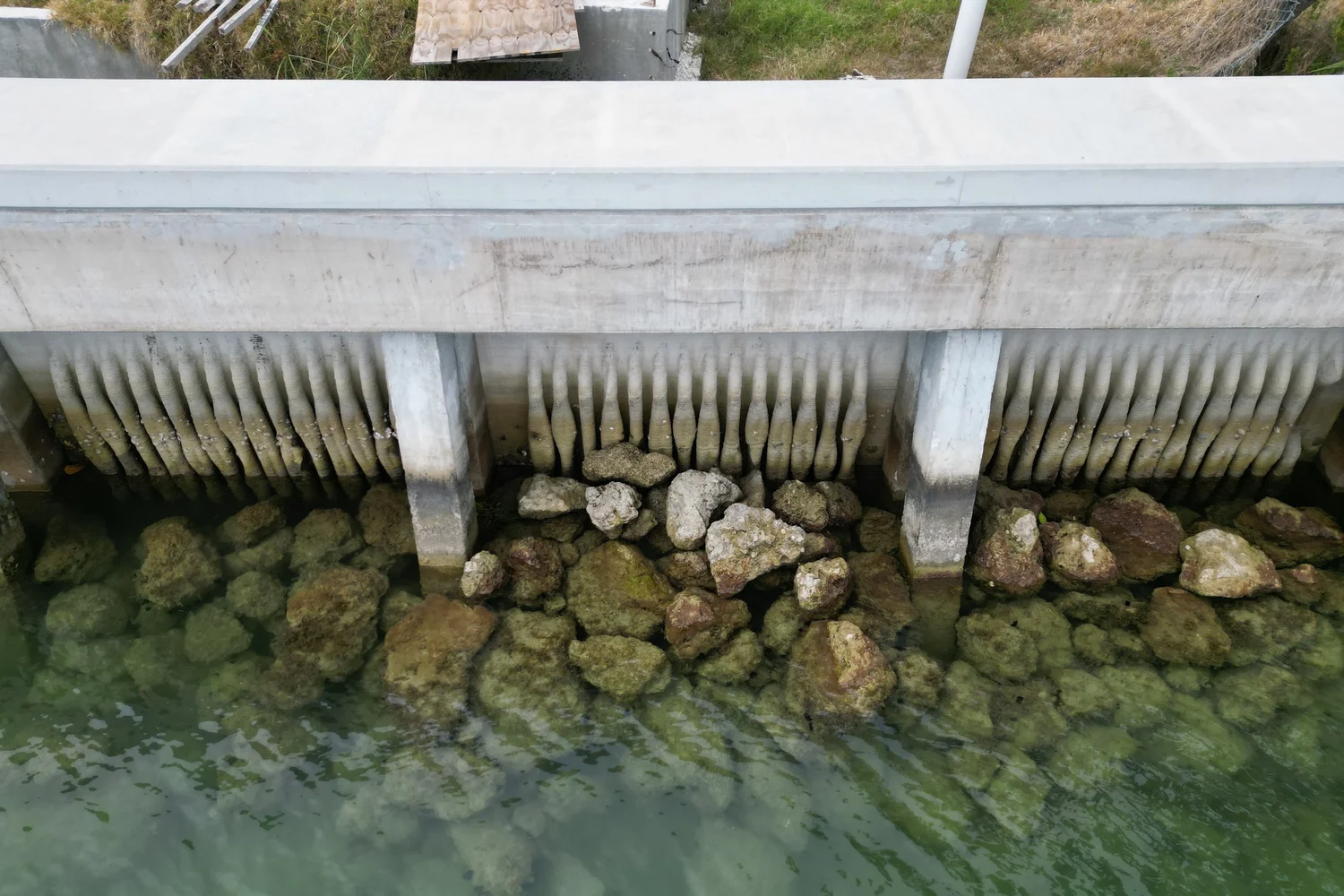 Living Seawalls – 3D Printed Coastal Protection — KindDesigns