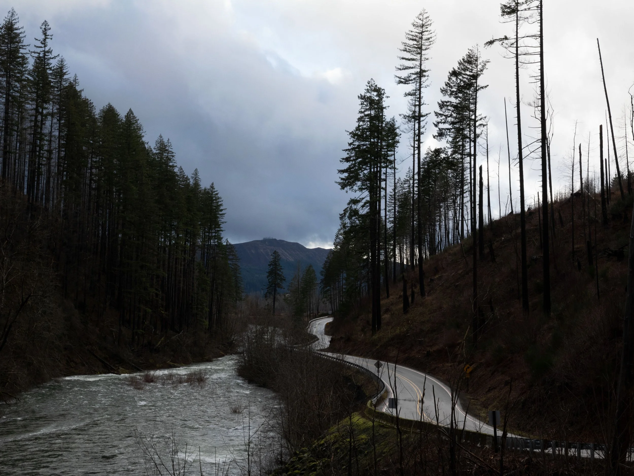 Oregon Journalism Project