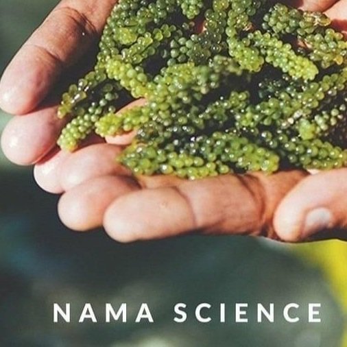 General 2 — Nama Fiji HQ