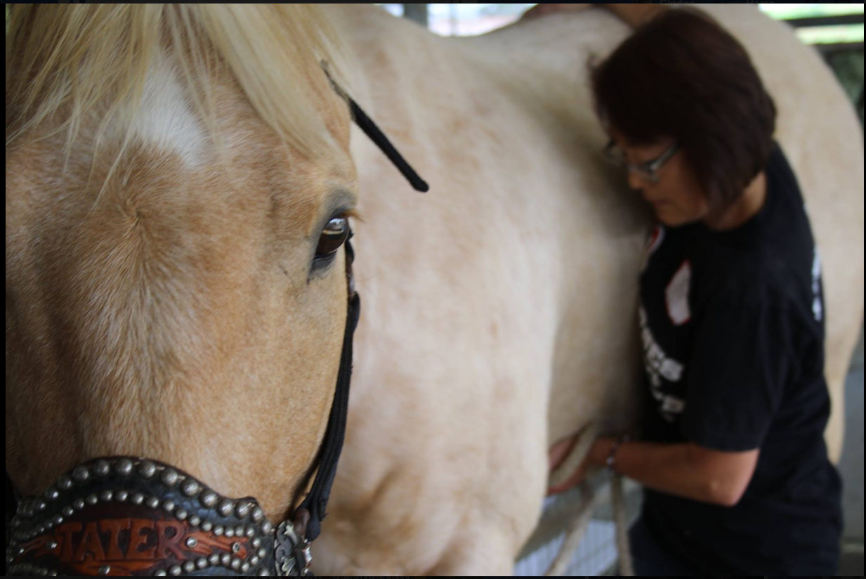 IET Foundational Course — Integrated Equine Therapies