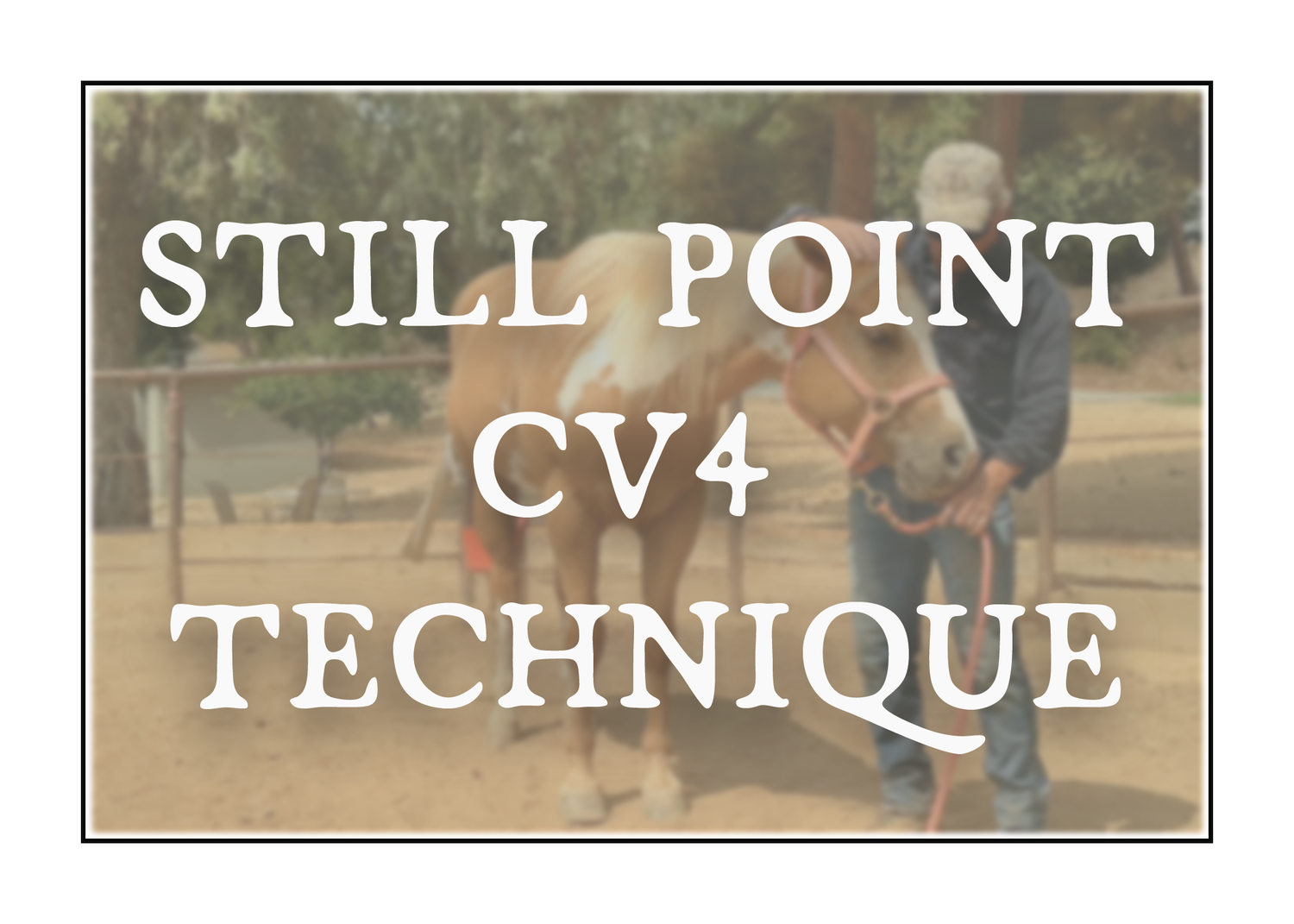 Video - Still Point CV4 Technique — Integrated Equine Therapies