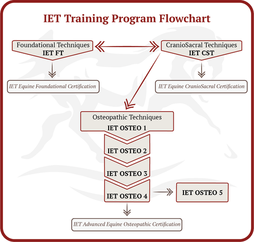 IET Training Program — Integrated Equine Therapies