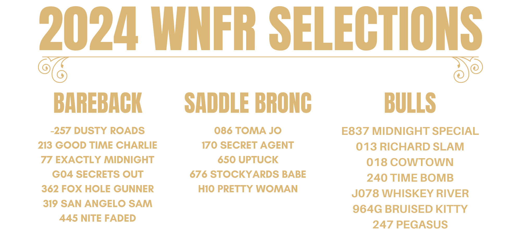 Pete Carr Pro Rodeo Bucking Stock — Pete Carr Pro Rodeo