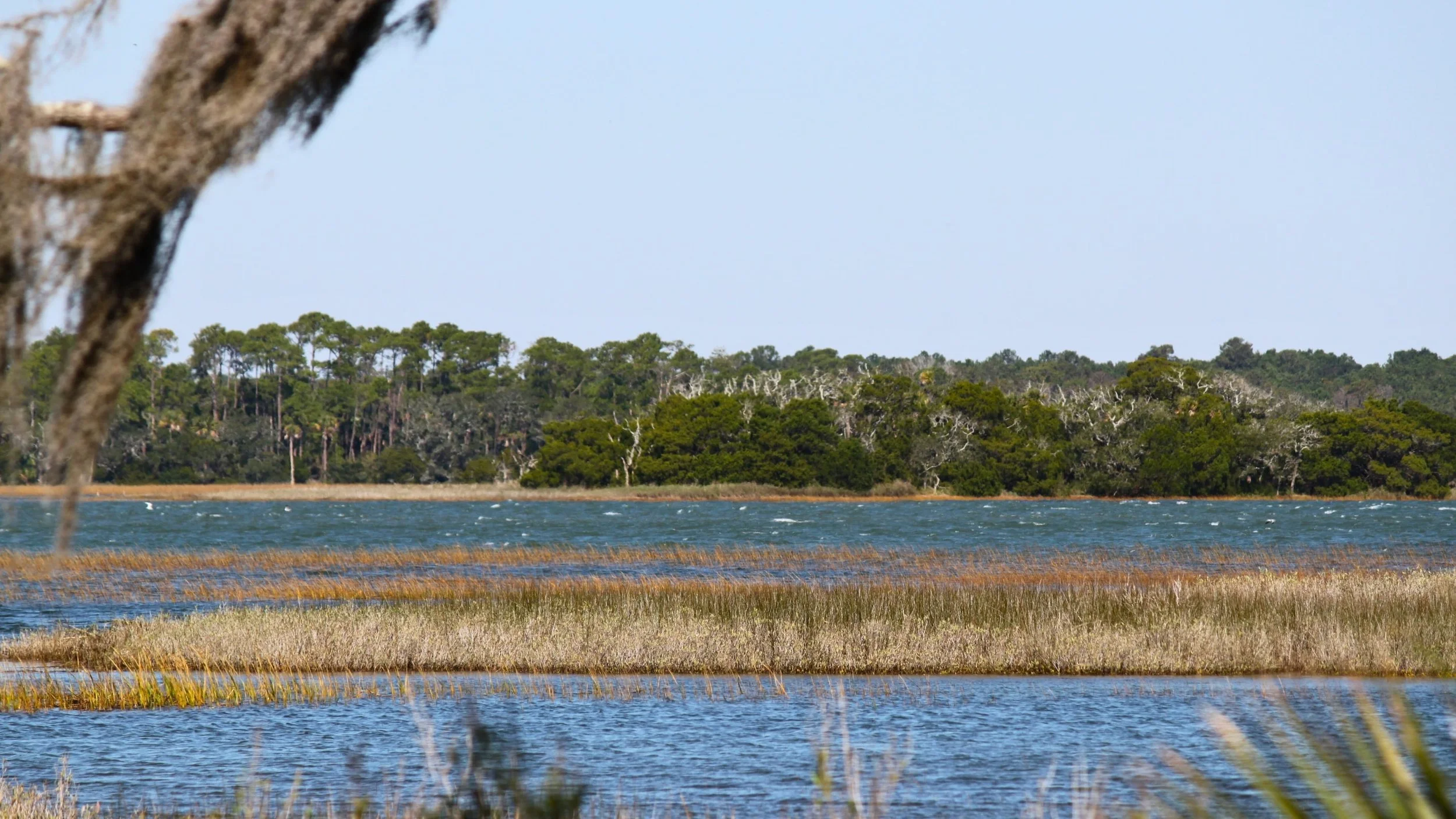 Kiawah Island Governor's Club Membership | Indigo Hall SC — Indigo Hall ...