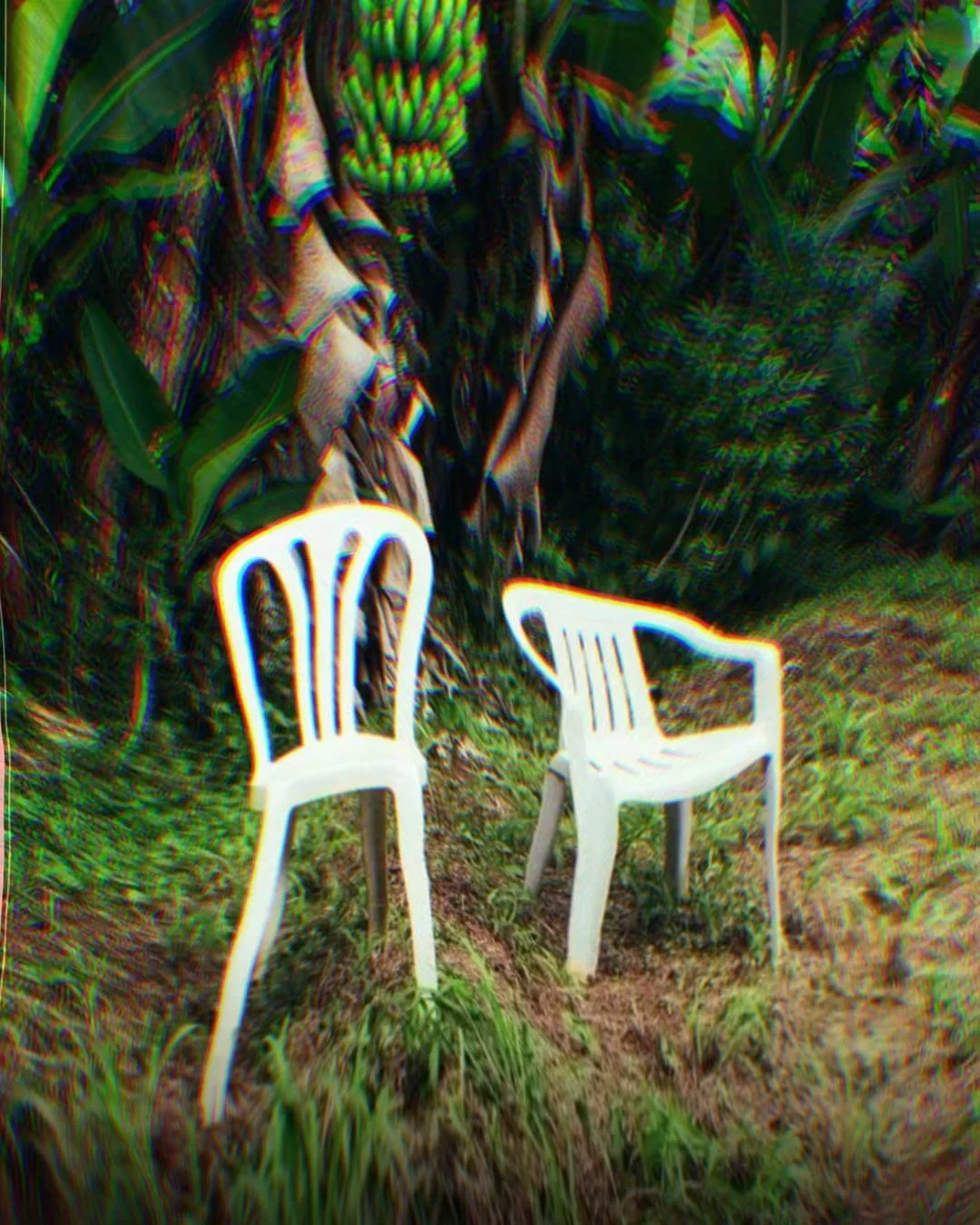 XELOSA REGGAETON PARTY