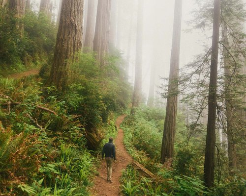 About Us | Step Zero – Pioneering Sustainable Footwear Solutions — Step ...