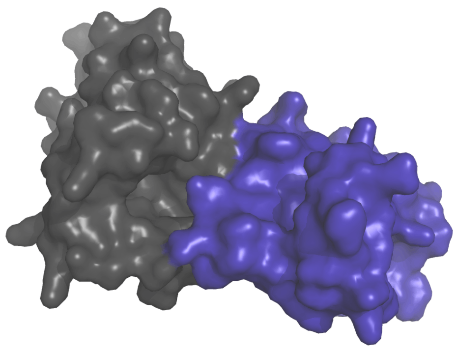 Our Approach — DeepCure