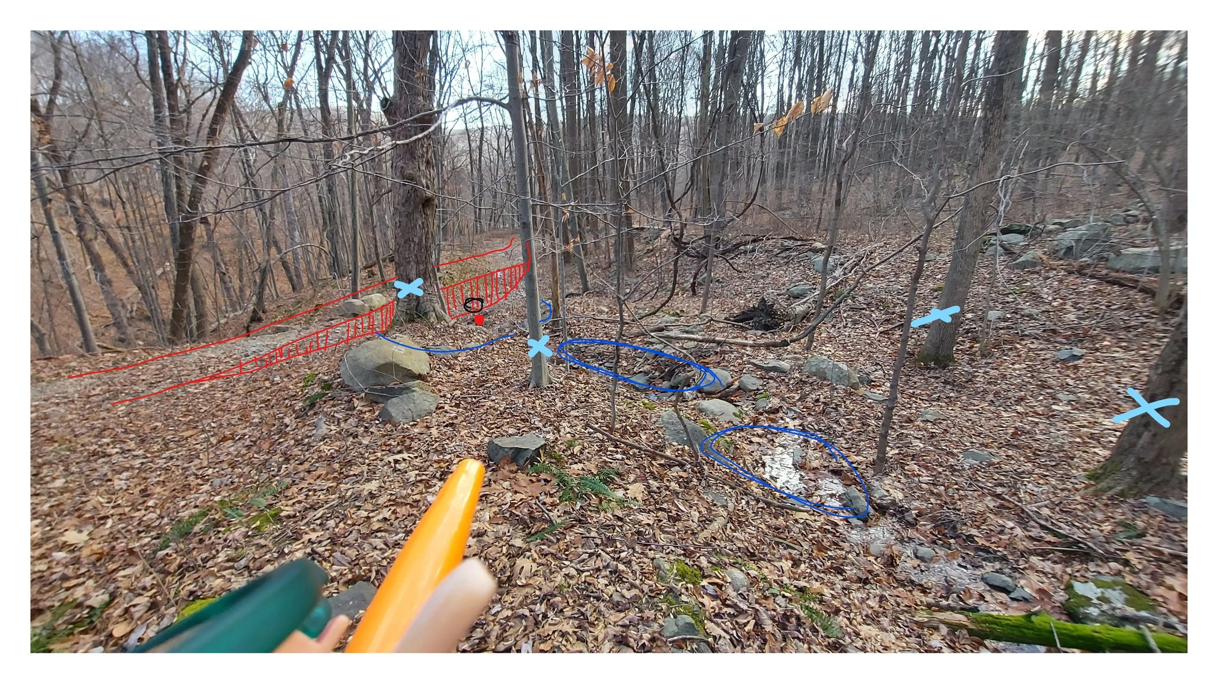 Woodland Stream Realignment — Aspect 120 Landscape Architecture