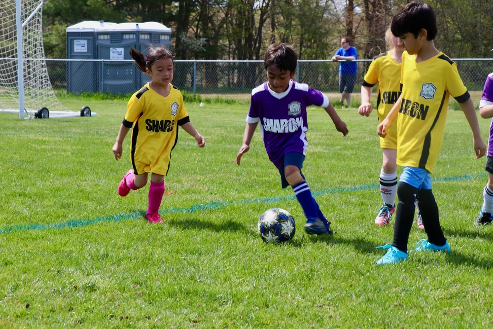 Rec Soccer — Sharon Soccer Association