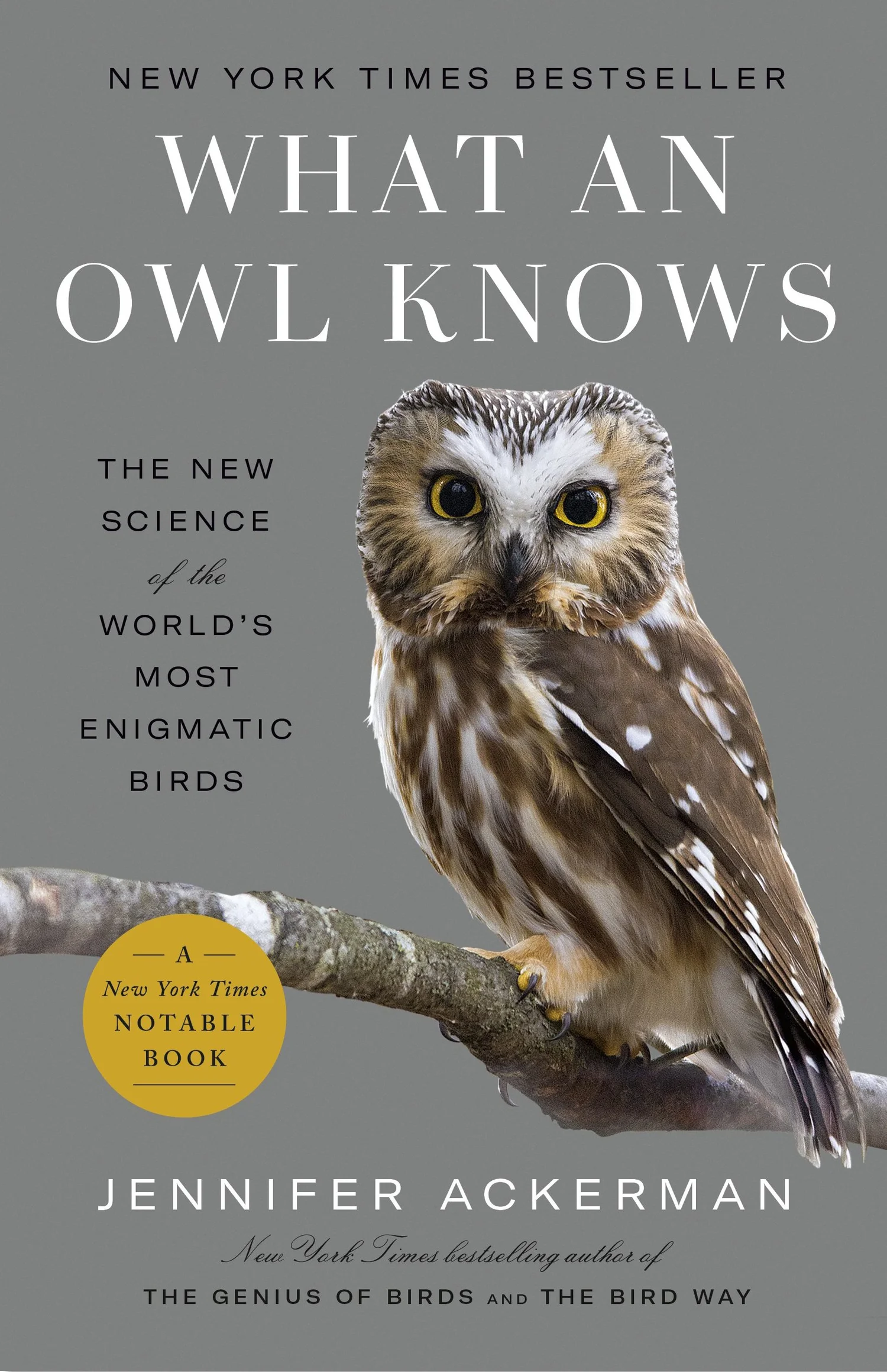 What an Owl Knows — Jennifer Ackerman