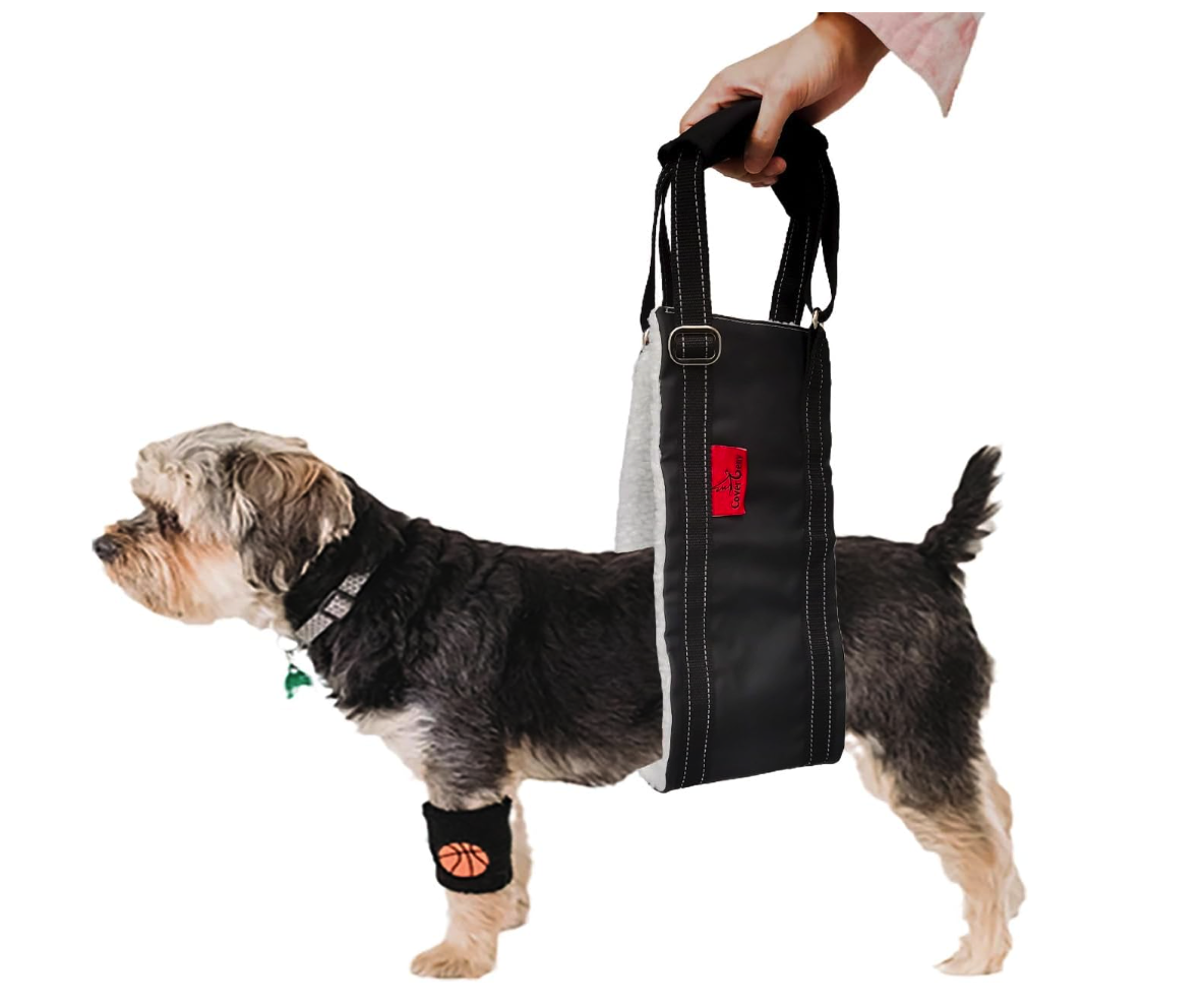 Femoral Head and Neck Ostectomy — VSx Veterinary Surgery