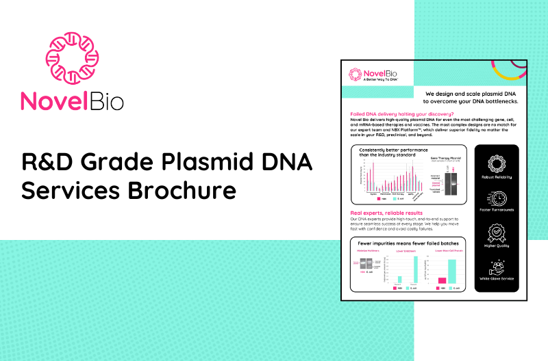 Plasmid DNA Insights & Biotech Resources — Novel Bio
