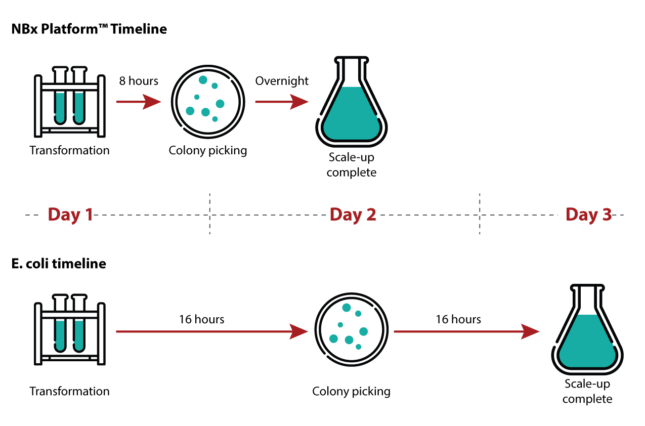 Plasmid DNA Technology for Biotech & Pharma Development — Novel Bio