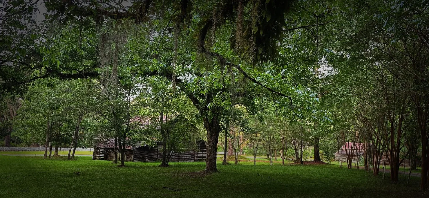 Hart of Dixie Outdoors