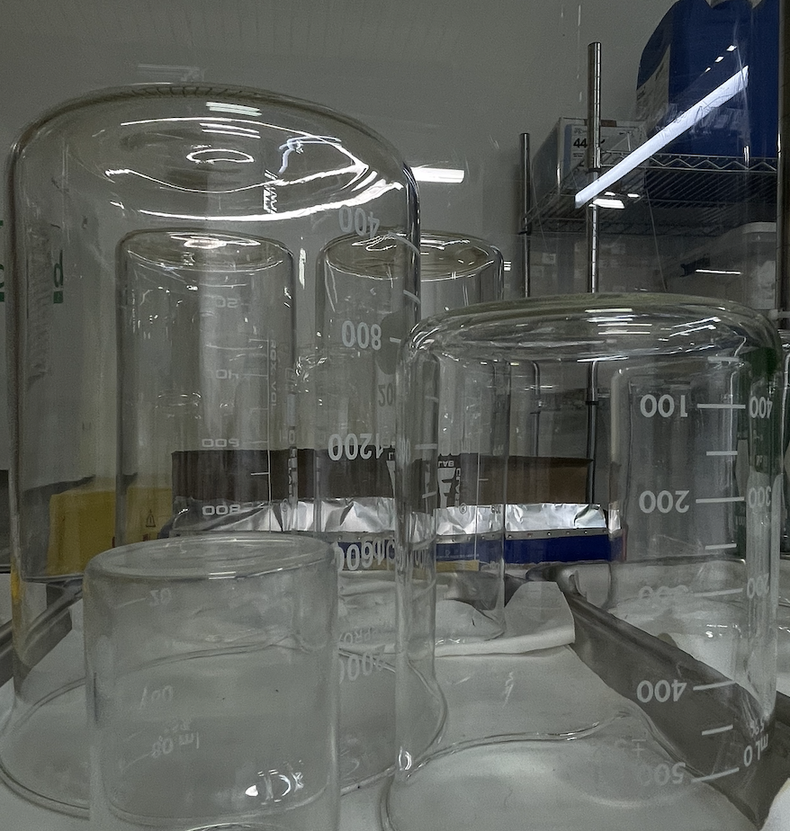 LASER PROCESSING — LaserMed Technologies