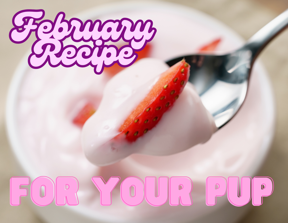 Springtime Sunshine Bites: A Fresh and Fun Treat for Your Dog — Foster ...