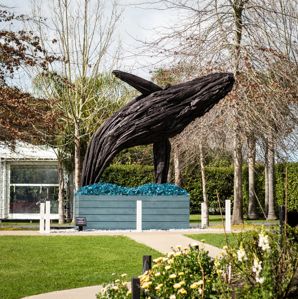 Sculptureum | Auckland’s Vibrant Art Scene: A Creative Hub of ...