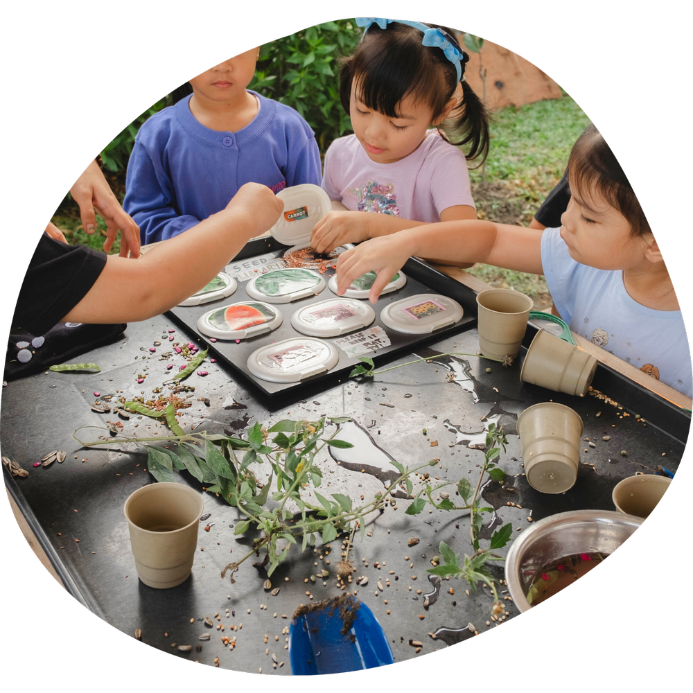 Curious Campers Nature School