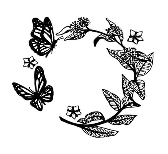 Our Story — Monarch Farms