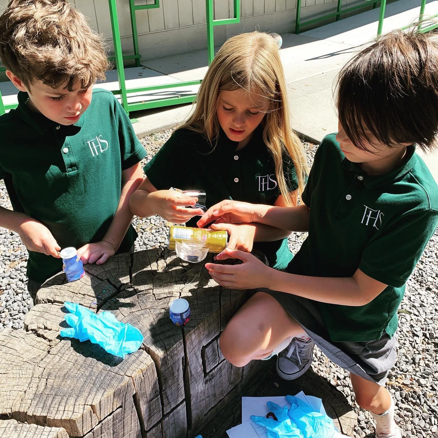 The Healdsburg School