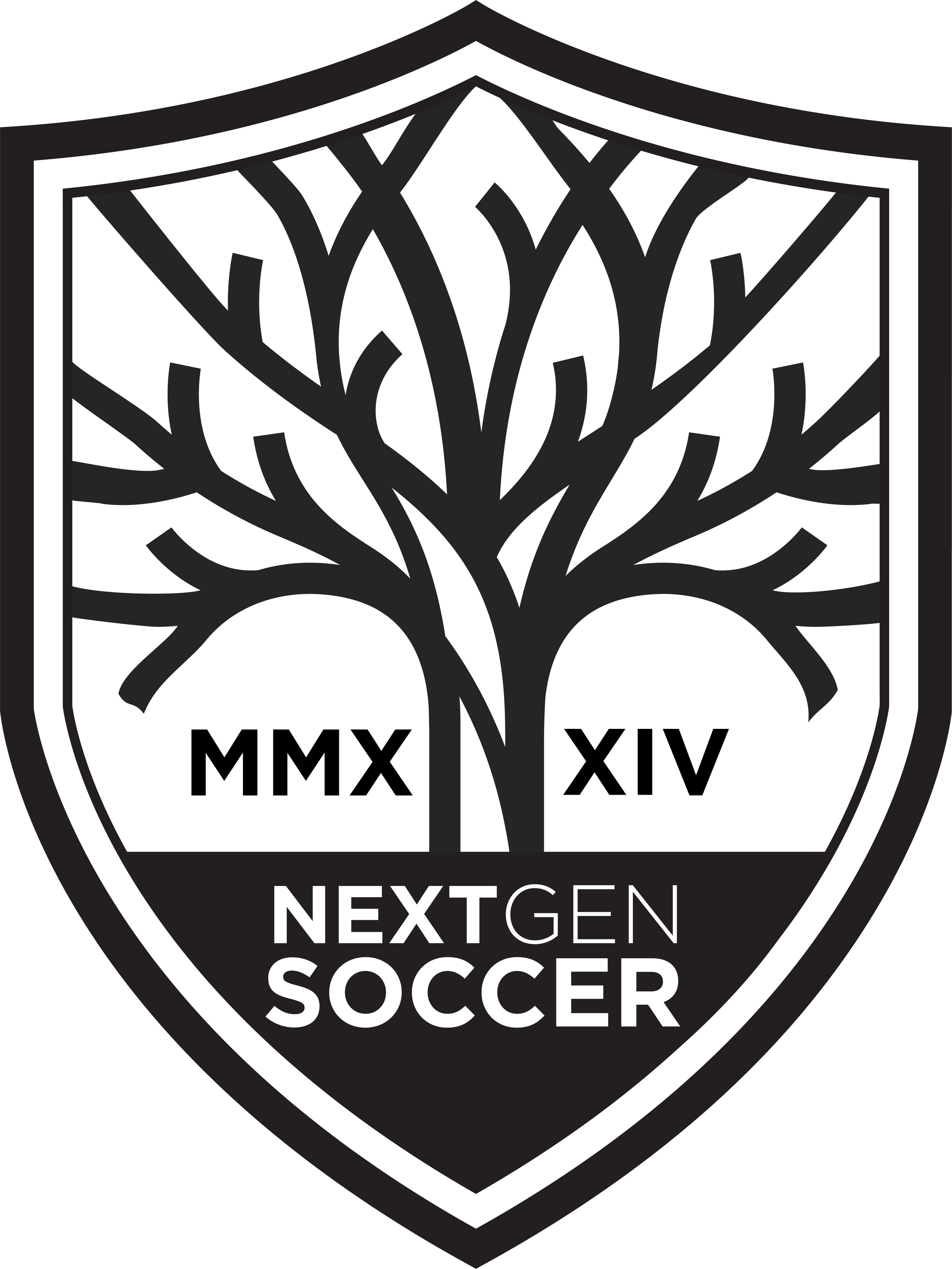 Next Gen Soccer