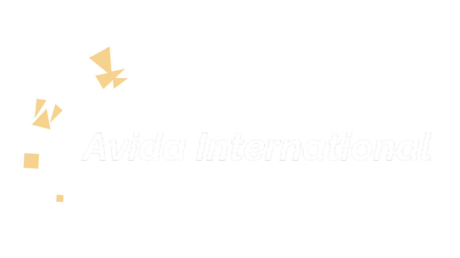 Avida International | Optimise Pension Governance Today