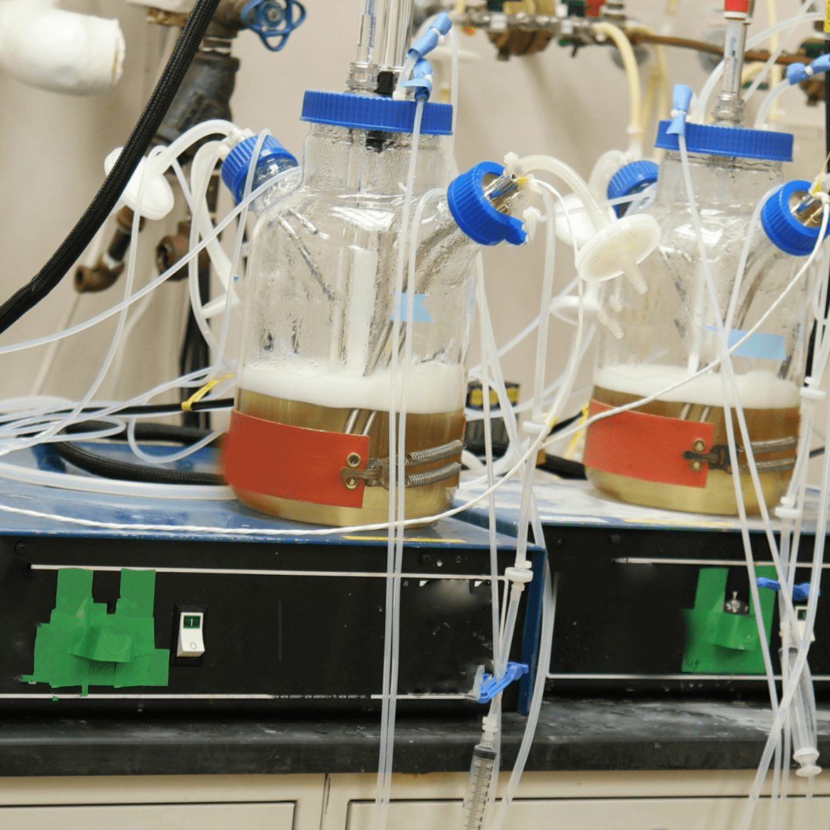 BioReact : Bioprocess Software Powered by A.I.