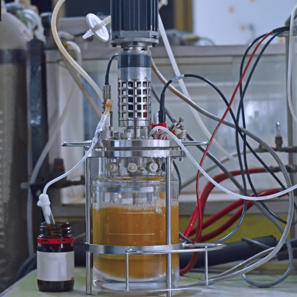 BioReact : Bioprocess Software Powered by A.I.