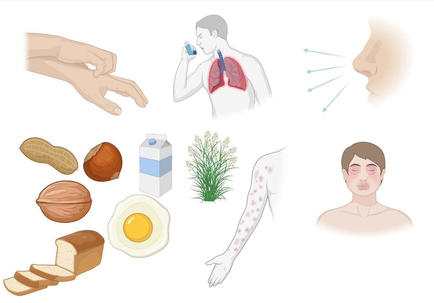 About 1 — Kuang Allergy Research Lab