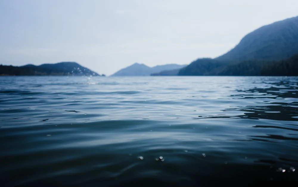 Village Councils — Council of the Haida Nation