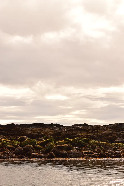 Resources — Council of the Haida Nation