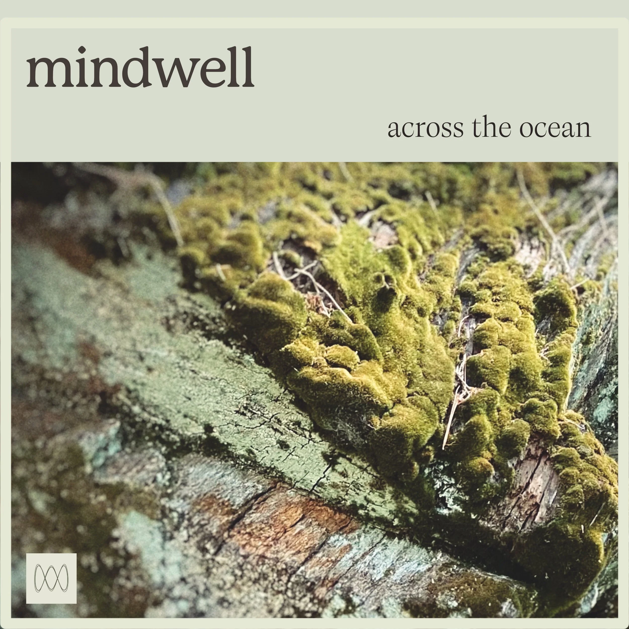 mindwell records