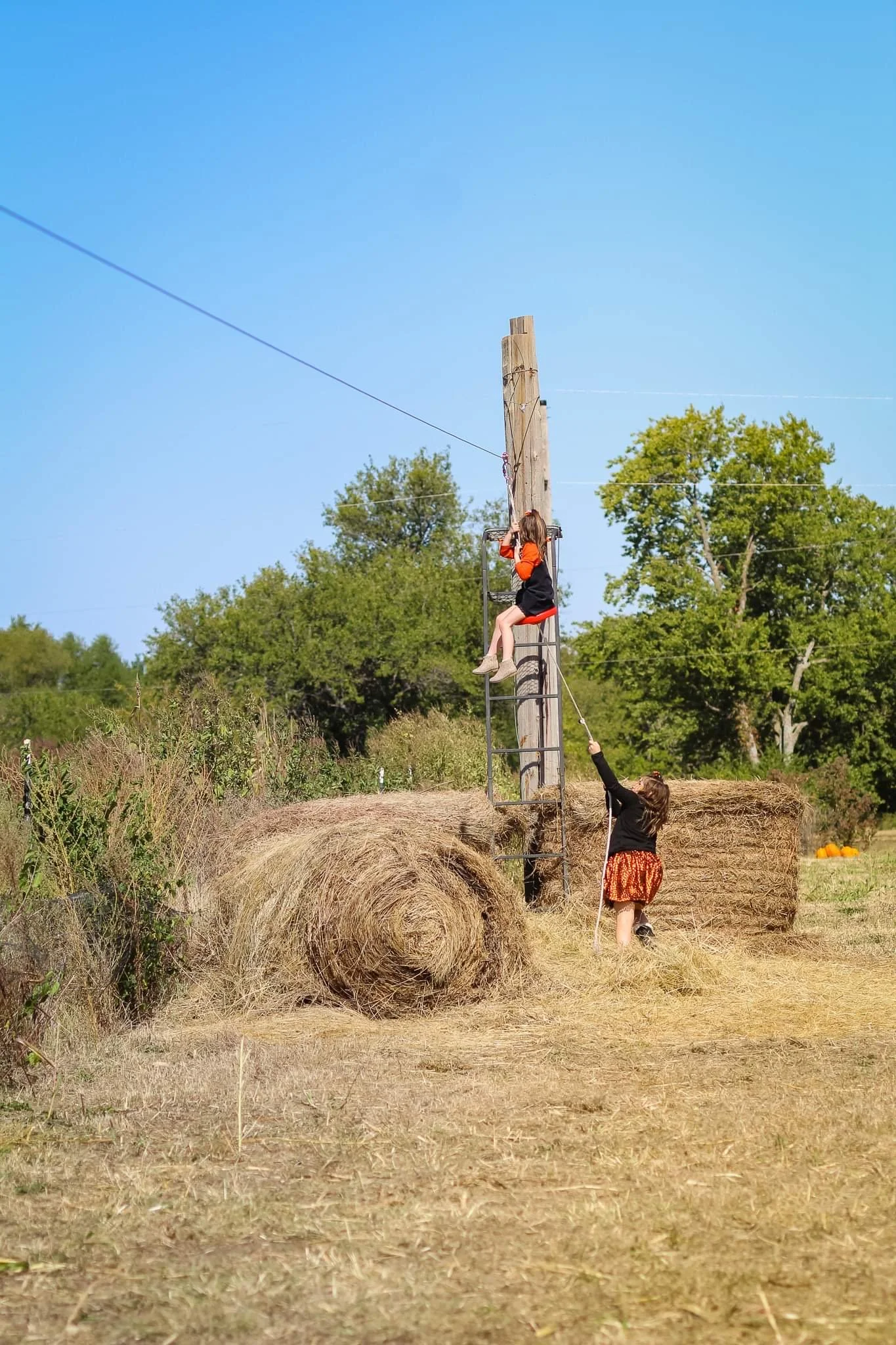 Topeka Kansas Pumpkin Patch, Pumpkin Patch, Fall Festival, Fall ...