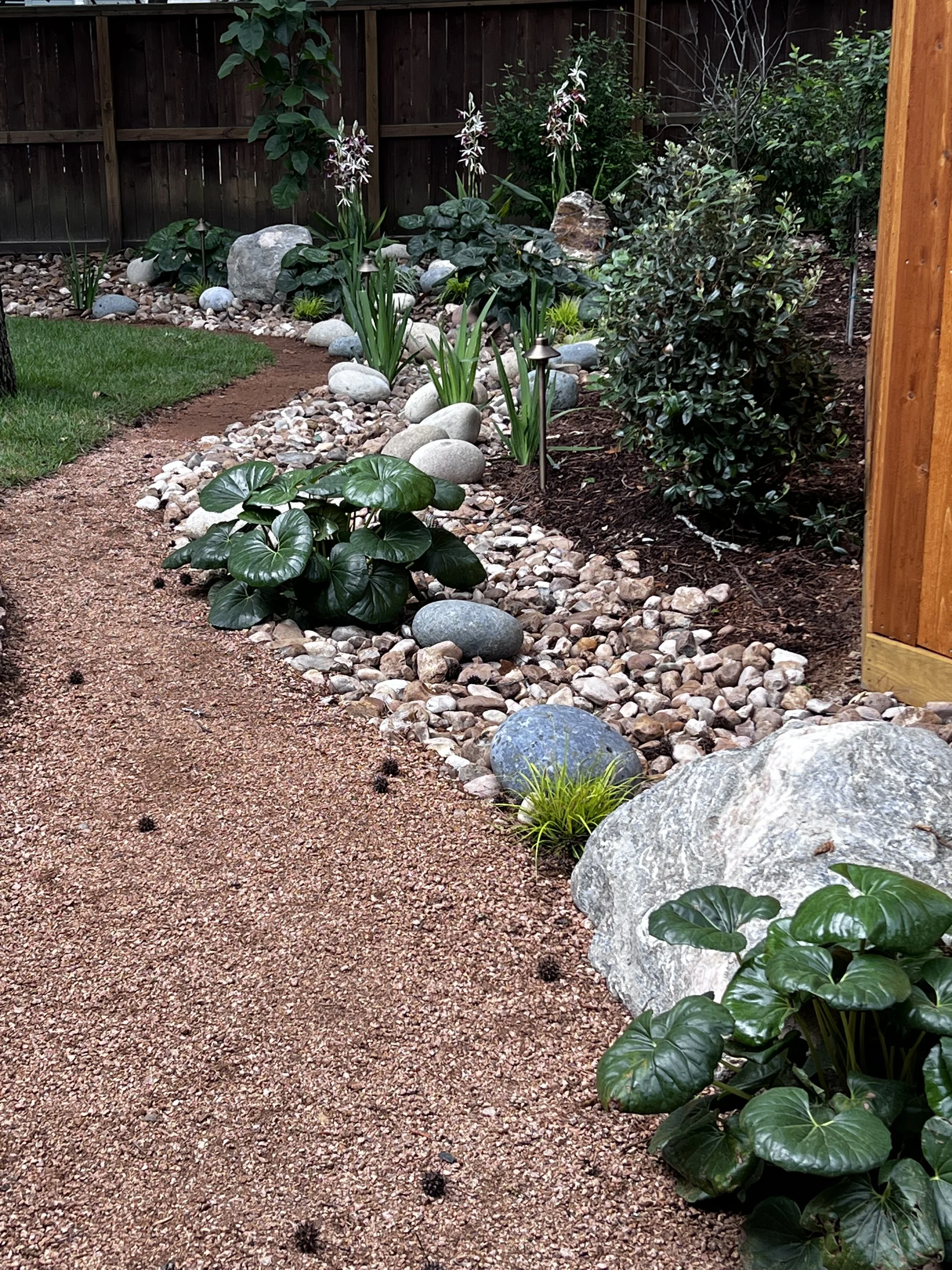 Petal Organic Native Landscape Design