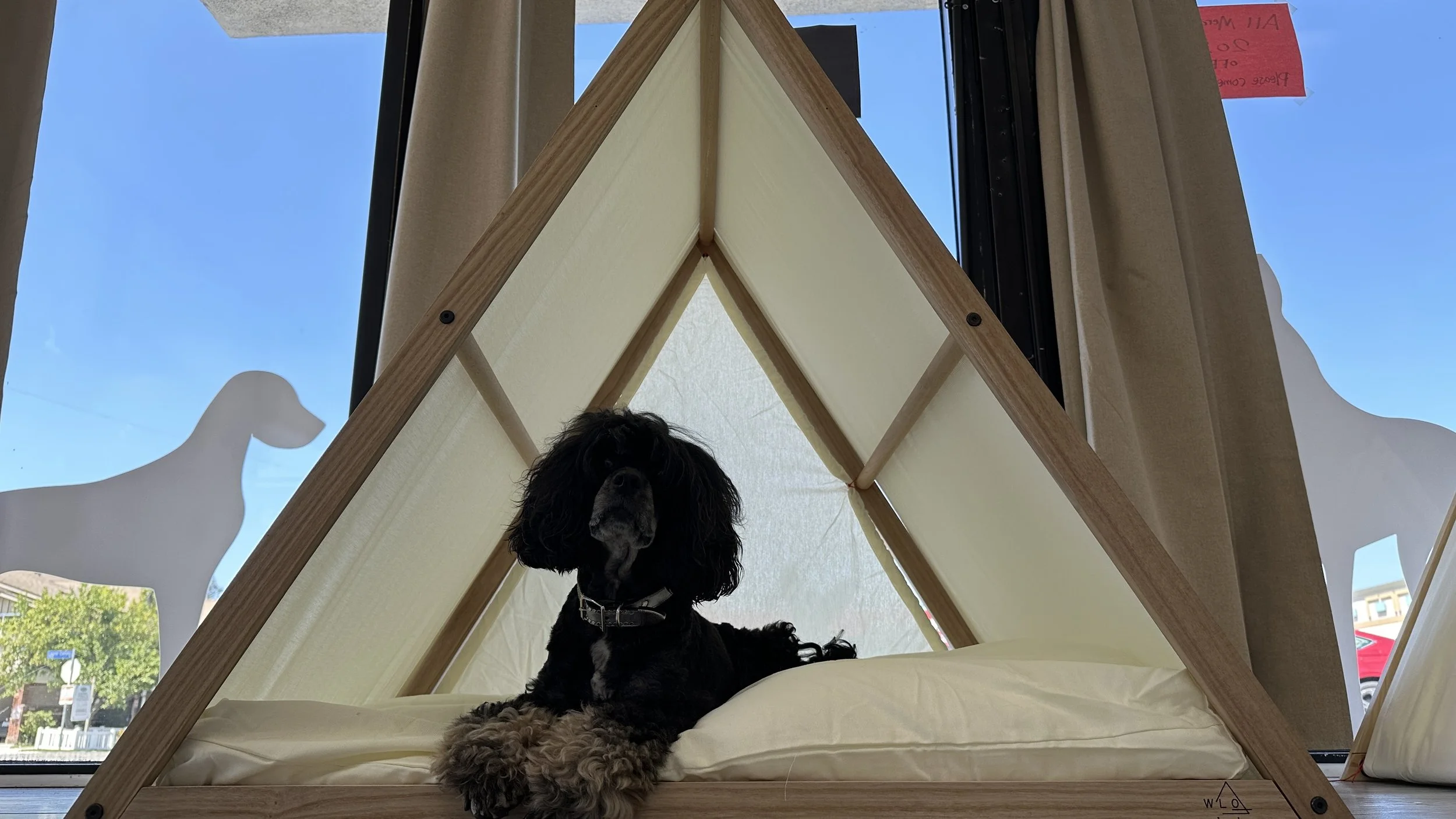 Royal Pet Grooming & Daycare in North Hollywood, CA