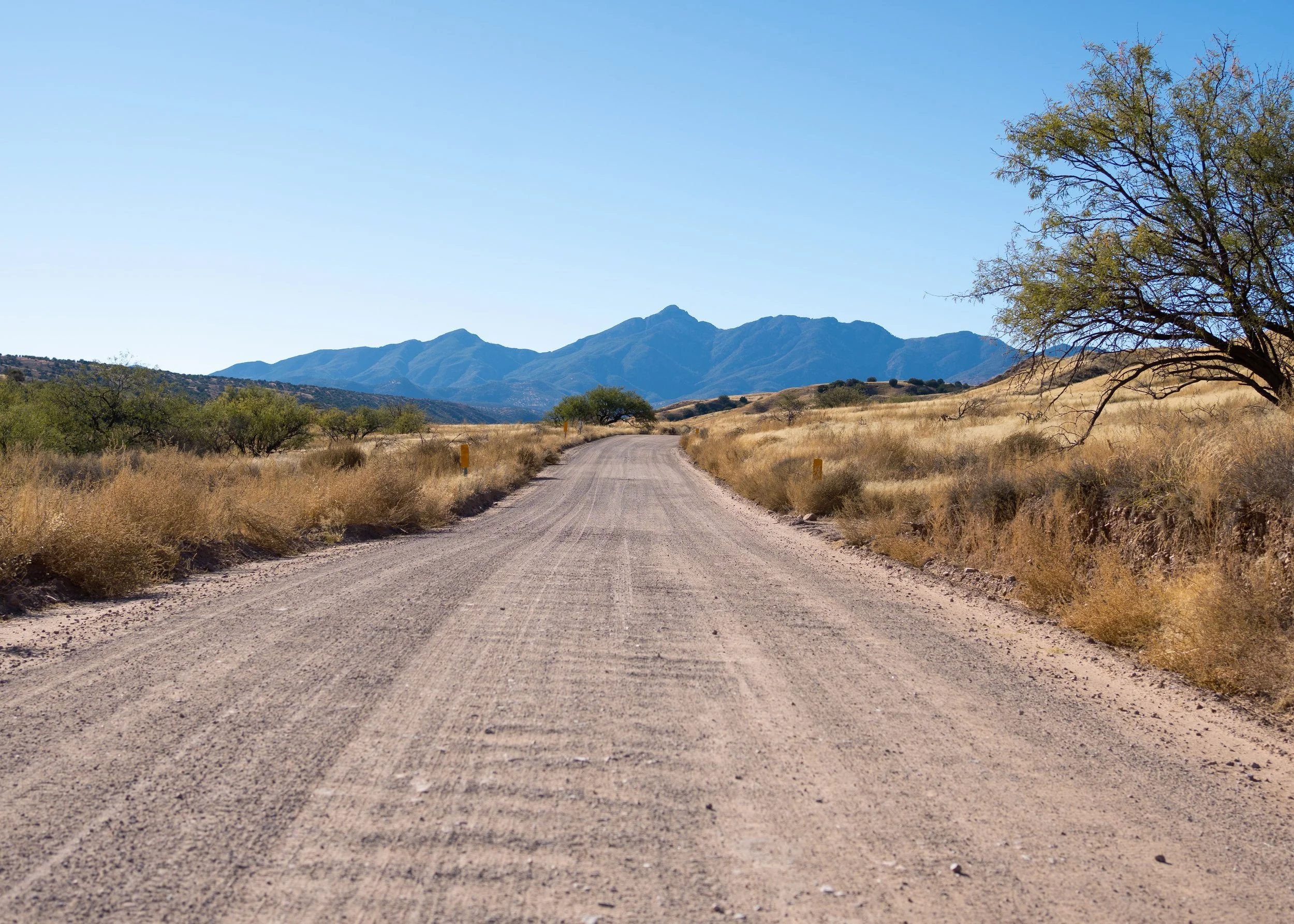 Contact Us | Connect With Us — Apache Springs Ranch